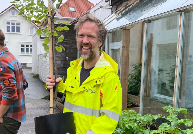 Vil gro urban mat med overvann